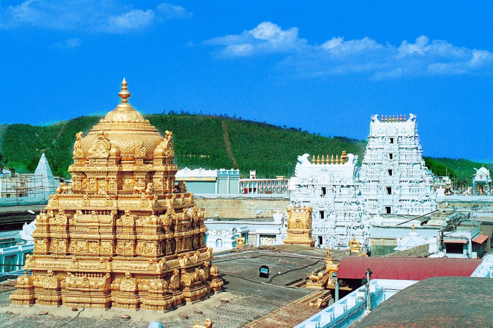 Tirupati Temple (Tirumala Venkateshwara) | Tirumala, Andhra Pradesh